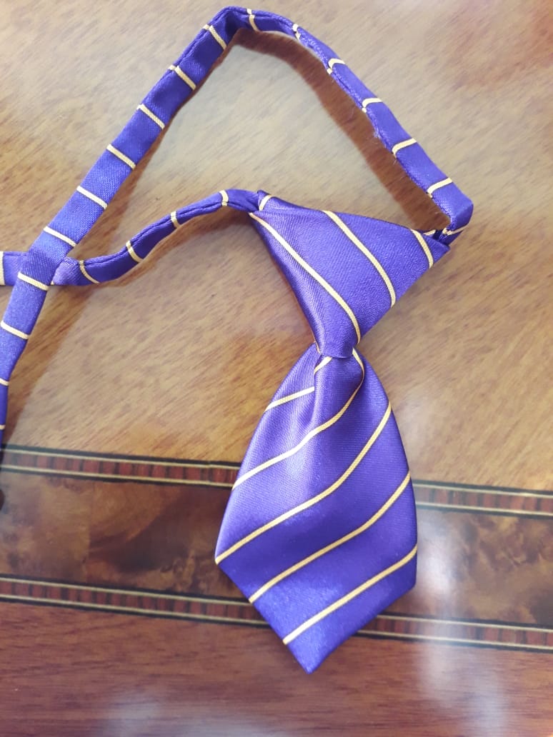 CORBATA CON DISEÑO - Bebeamor